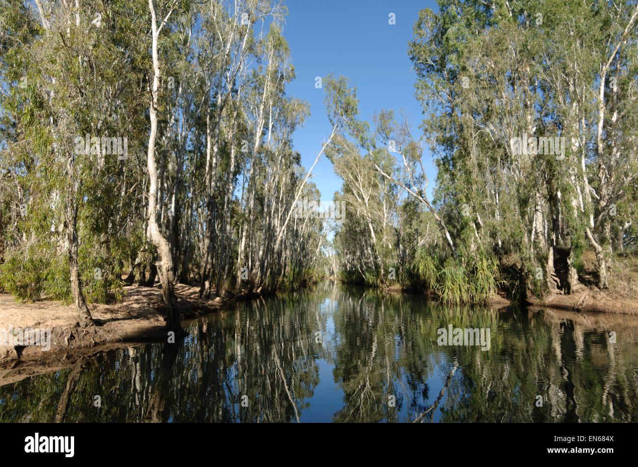 Creek, Mitchell Plateau, Kimberley Region, Western Australia, WA ...