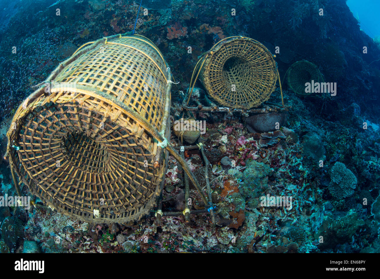 Traditional bamboo fishing trap on coral reef by the island of Pura in ...