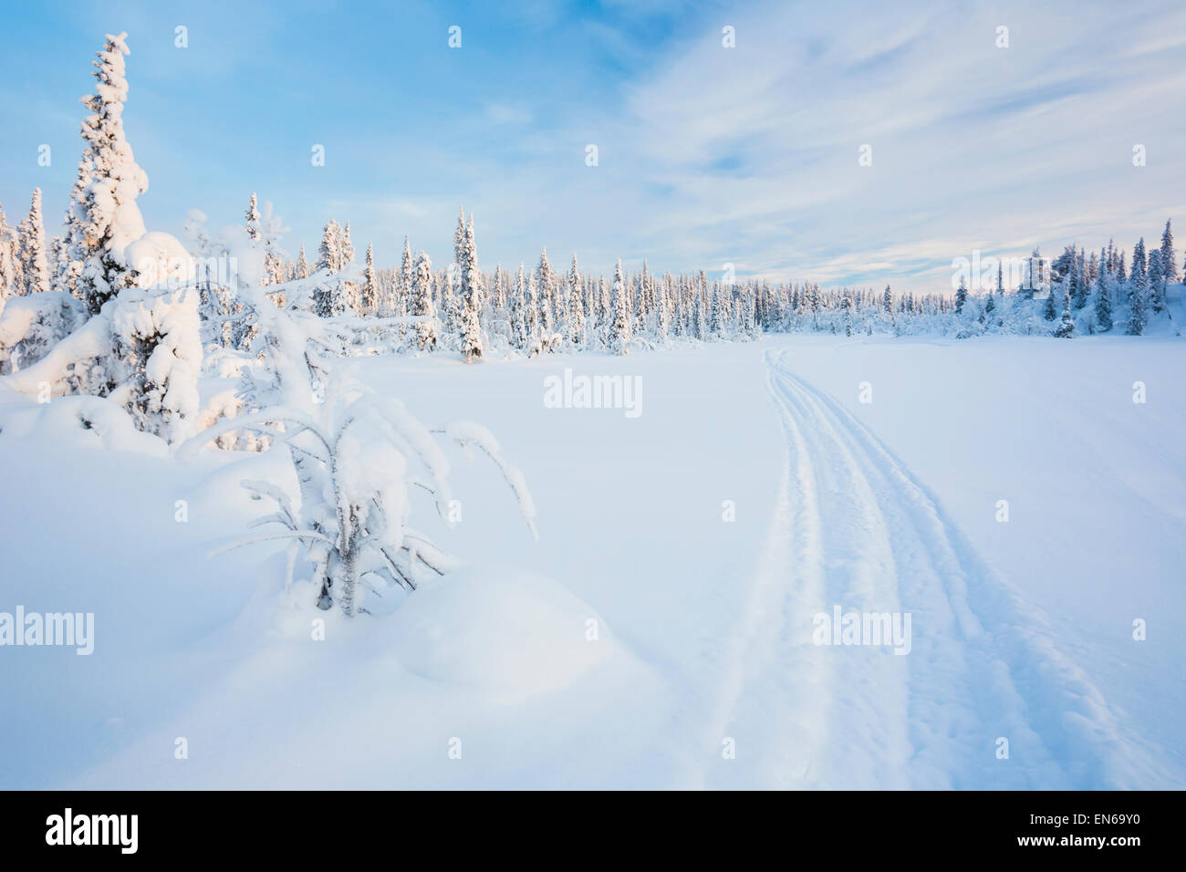 Beautifully winter landscape with plenty of snow and snow on the trees ...