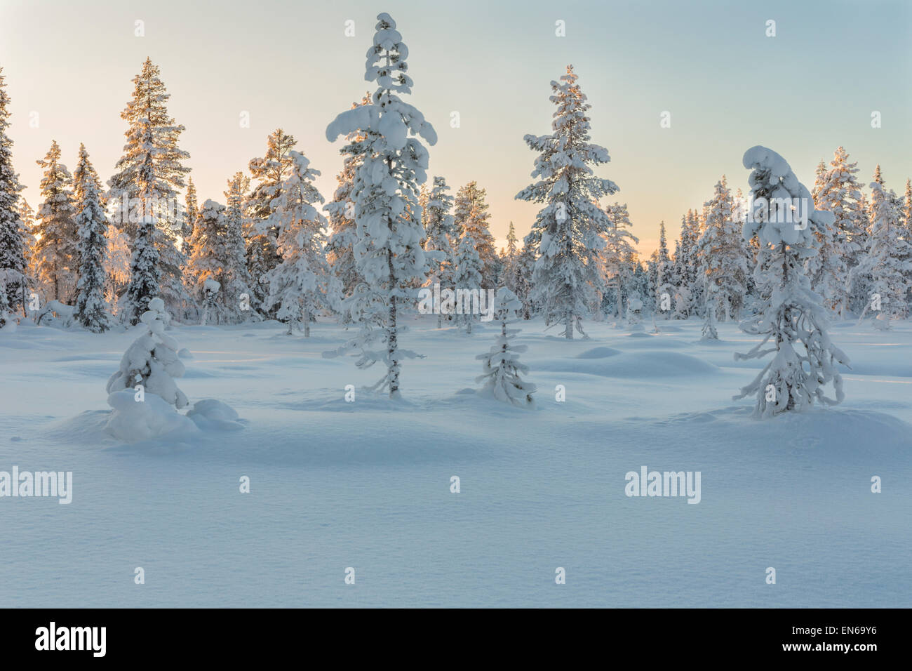 Beautifully winter landscape with plenty of snow and snow on the trees ...