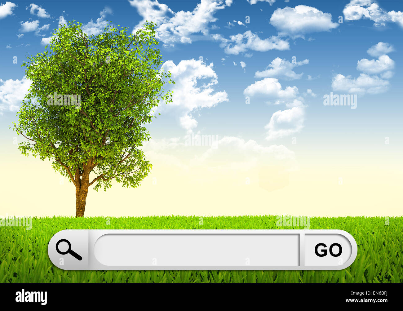 Grass tree search Stock Photo - Alamy