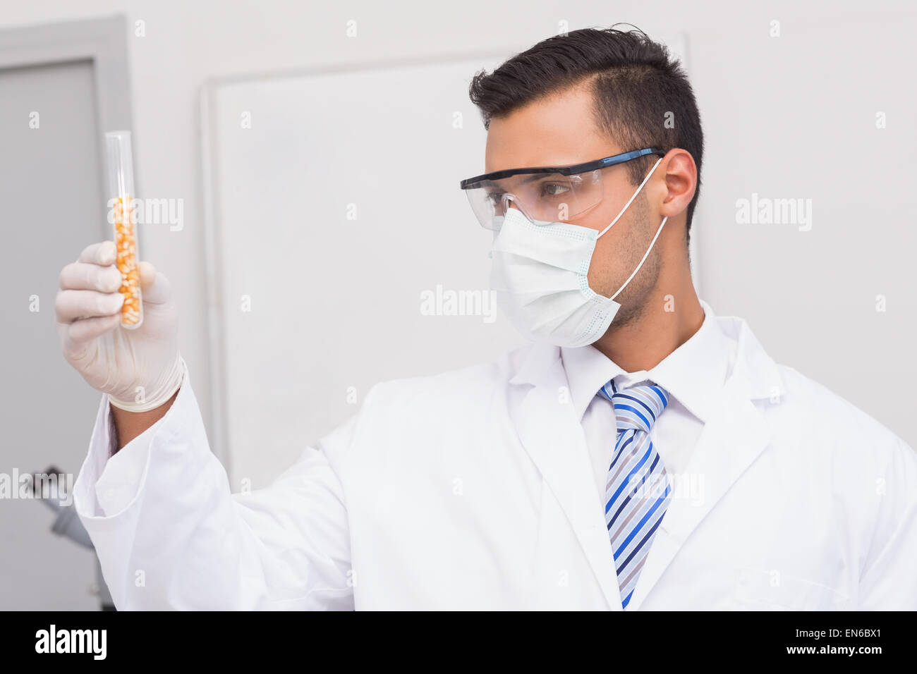 Scientist holding test tube of corn Stock Photo - Alamy