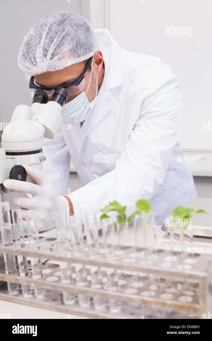 Focus microscope hi-res stock photography and images - Alamy