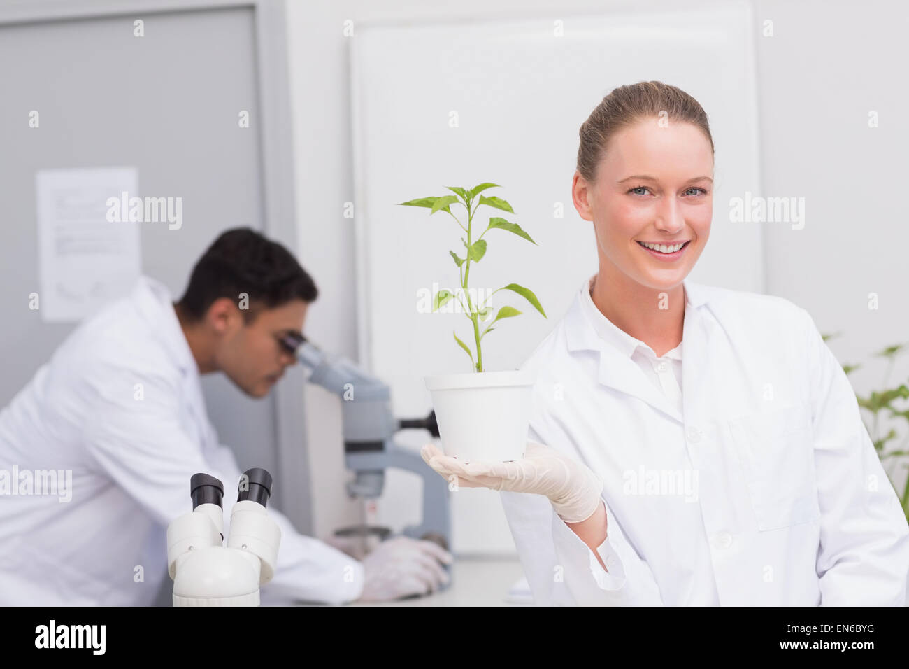 Scientist holding plant test hi-res stock photography and images - Alamy