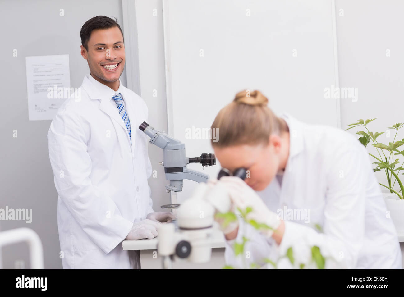 Happy scientist smiling at camera using microscope Stock Photo - Alamy