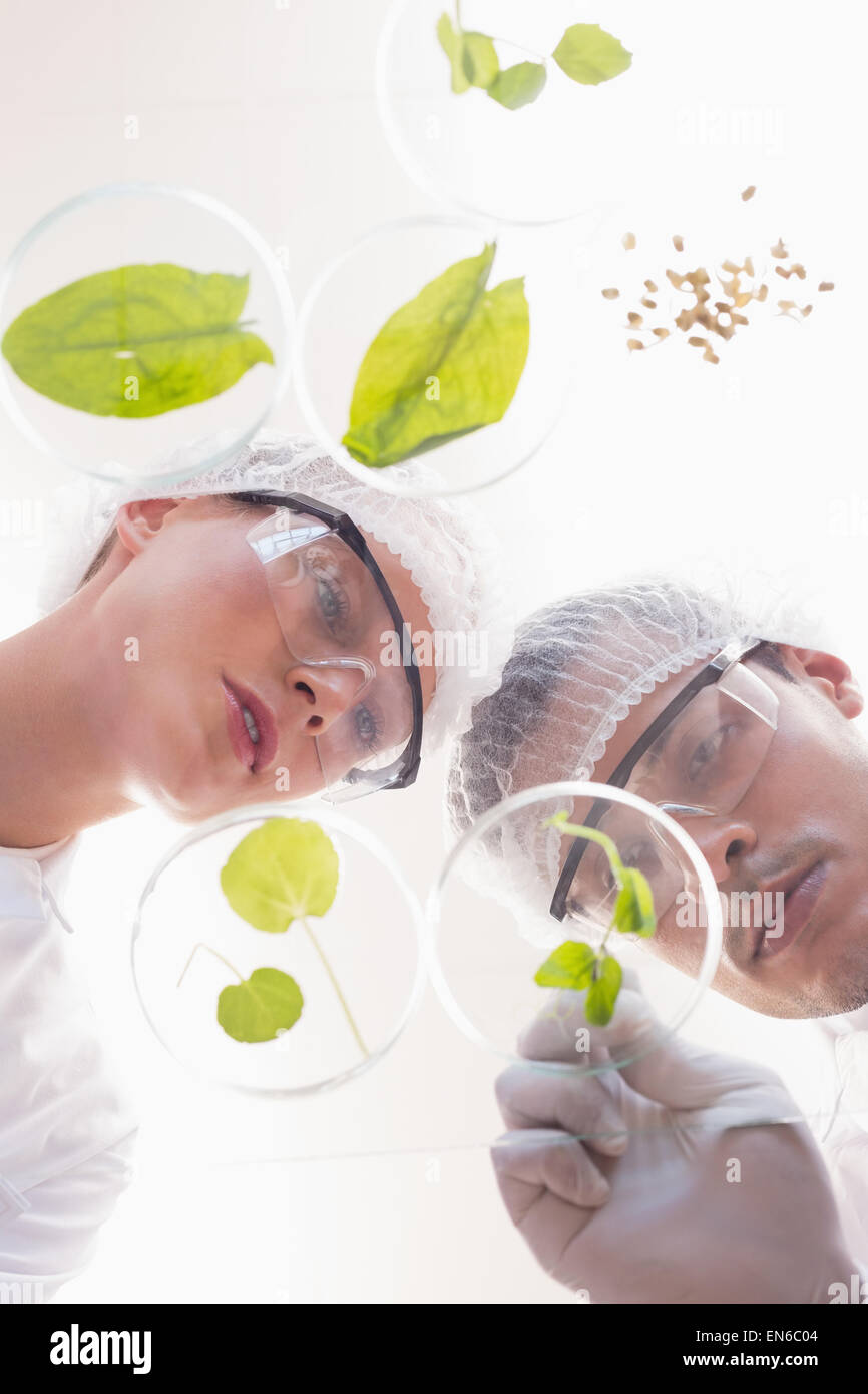 Female scientists researcher in hi-res stock photography and images - Alamy