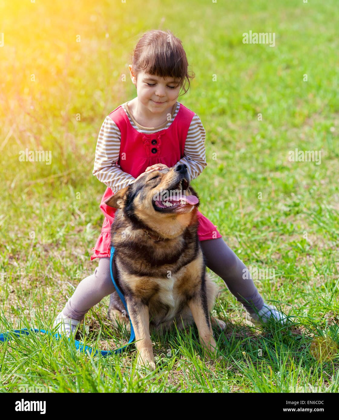 Happy little girl riding her dog on the field Stock Photo - Alamy