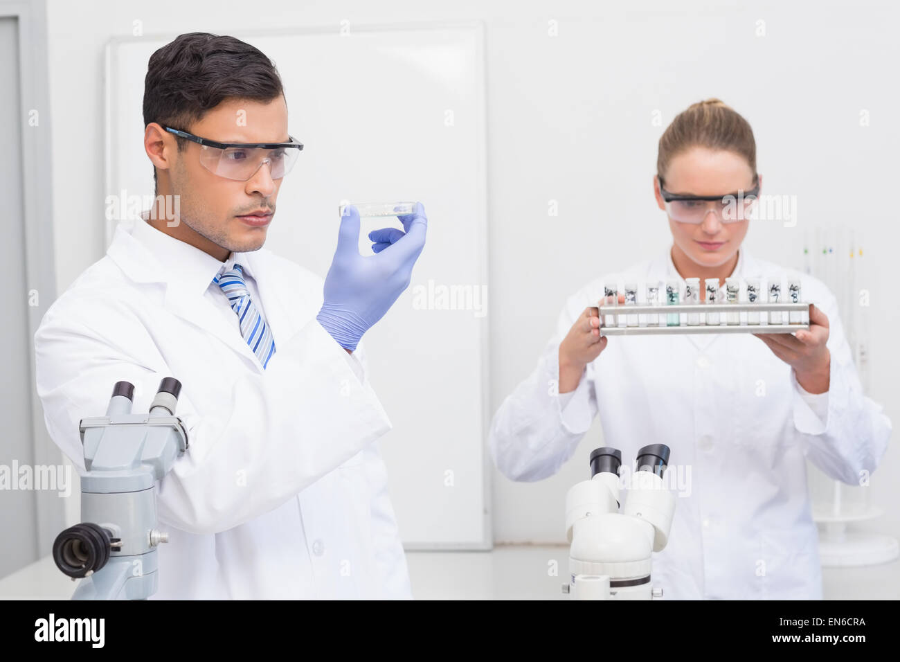 Laboratory scientists petri dish hi-res stock photography and images ...
