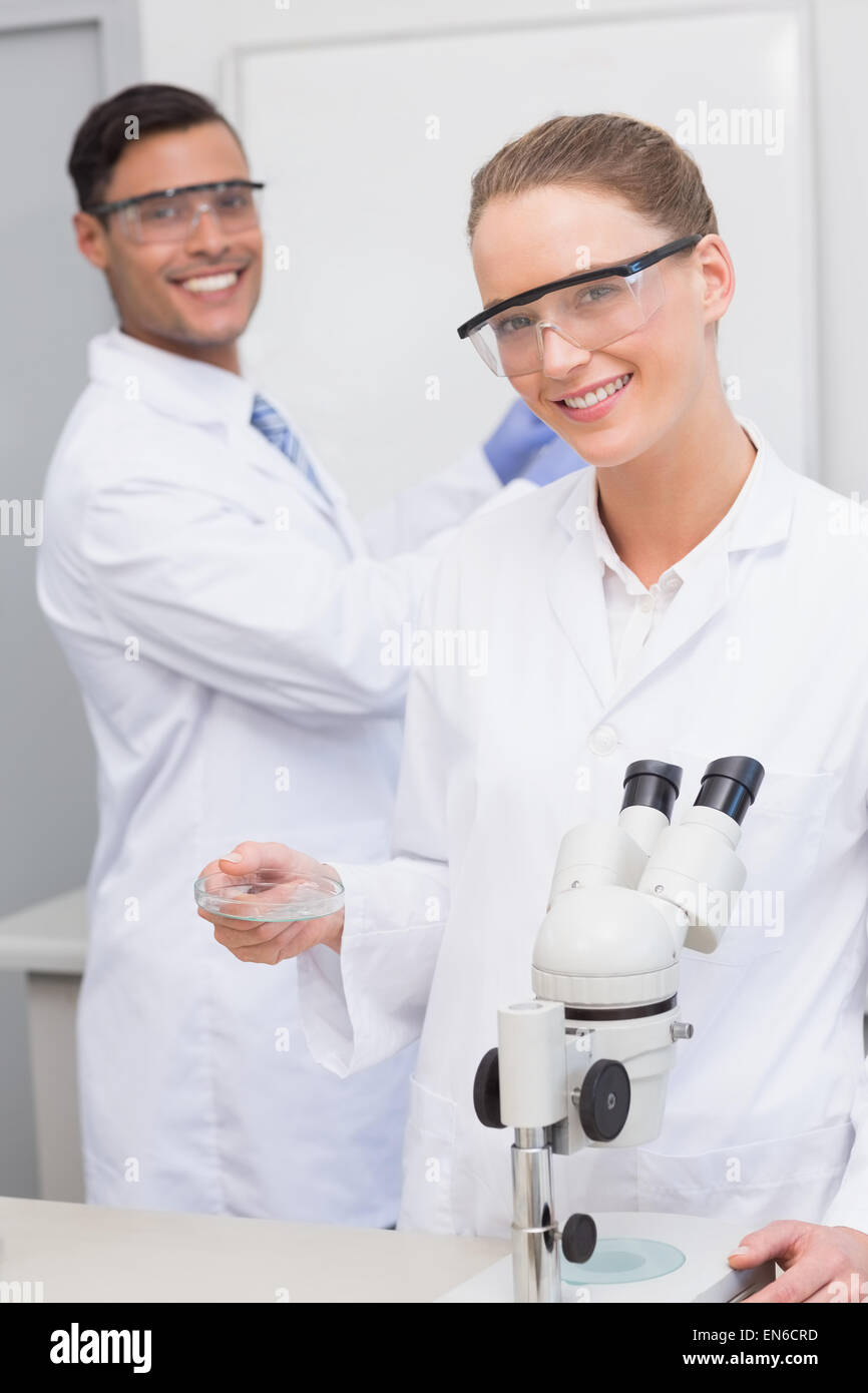 Scientists examining at petri dish and tubes Stock Photo - Alamy