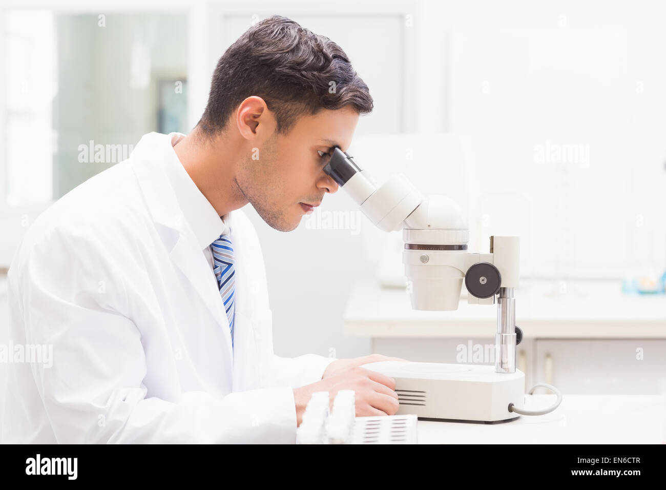 Scientist observing petri dish hi-res stock photography and images - Alamy