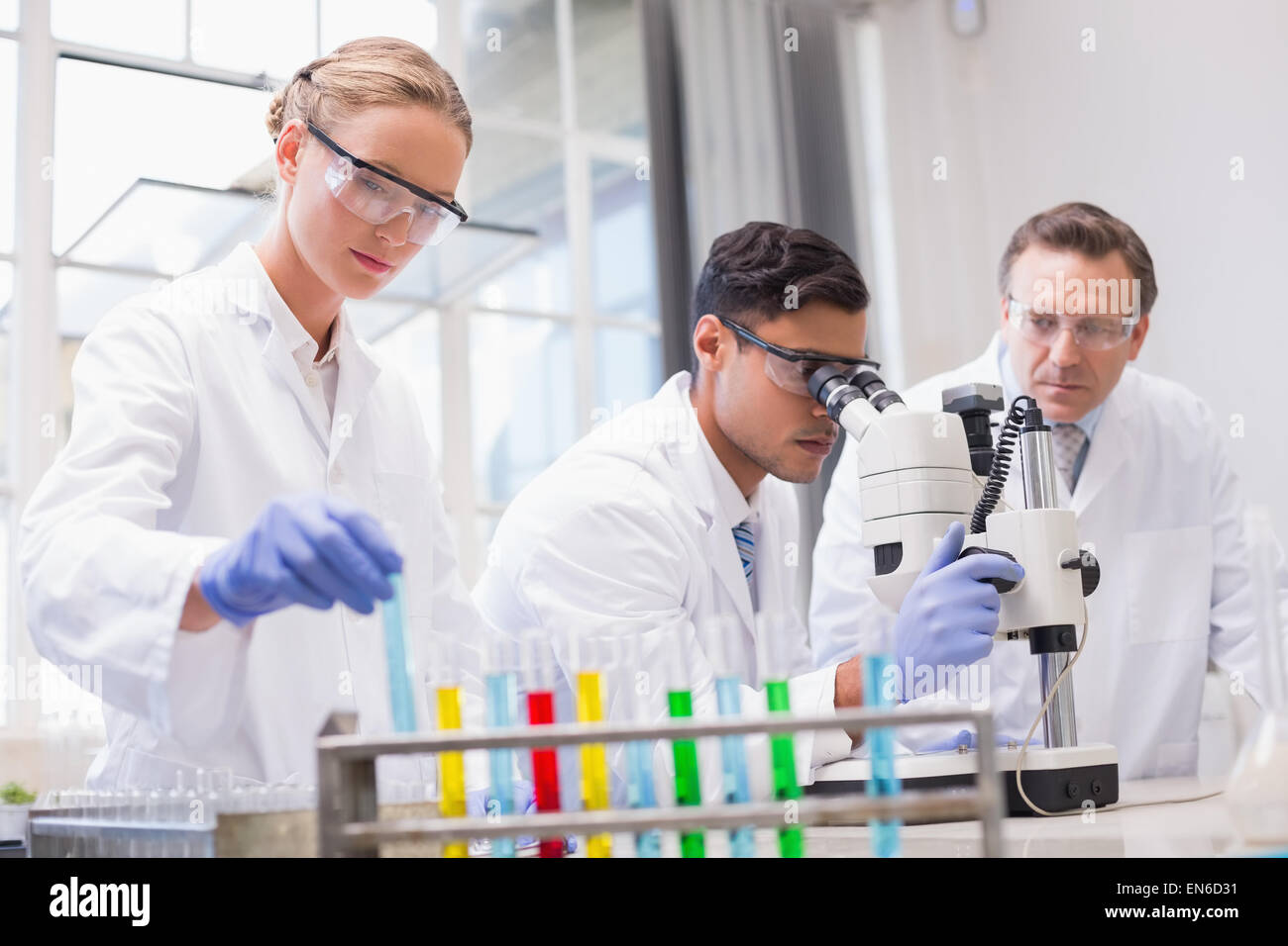 Concentrated scientists working together Stock Photo - Alamy
