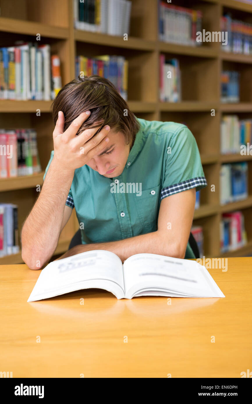 Student sitting in library reading Stock Photo - Alamy
