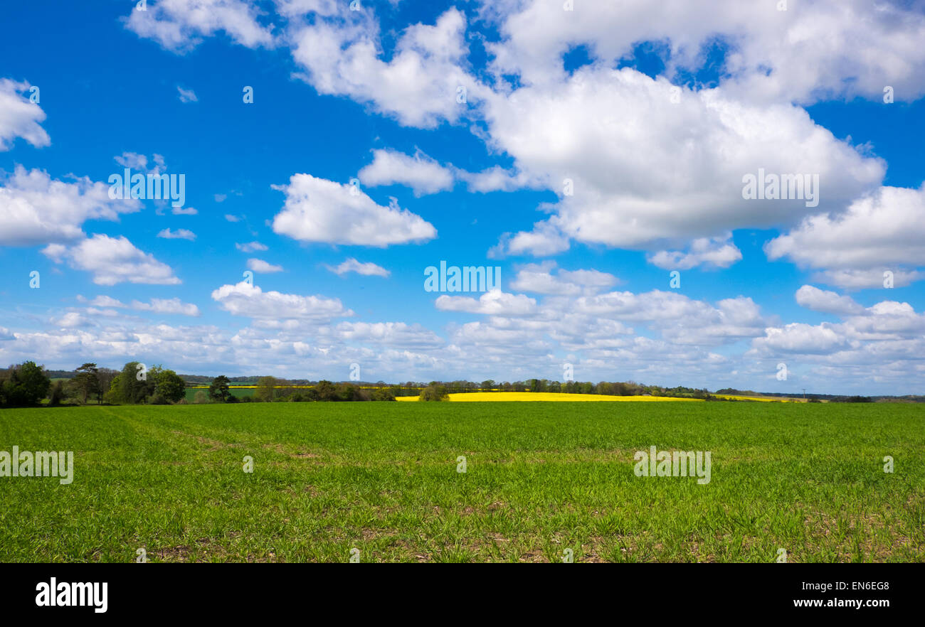 Lush green fields Stock Photo - Alamy