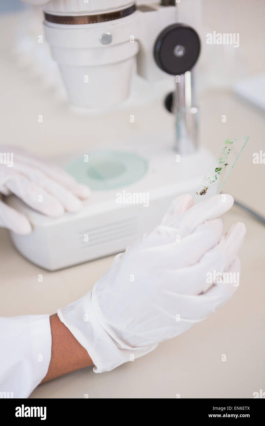 Sample glasses hi-res stock photography and images - Alamy