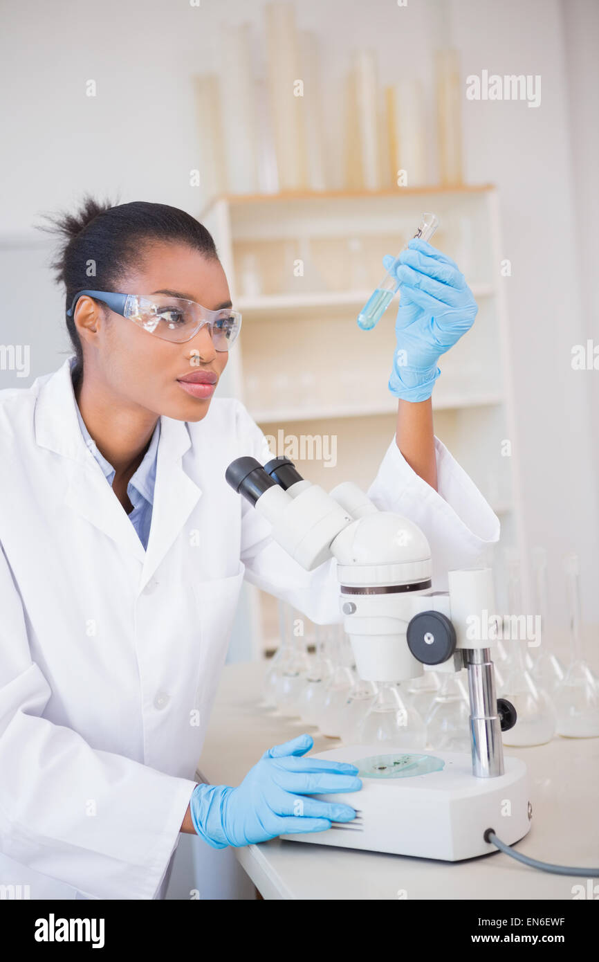 Scientist looking at test tube Stock Photo - Alamy
