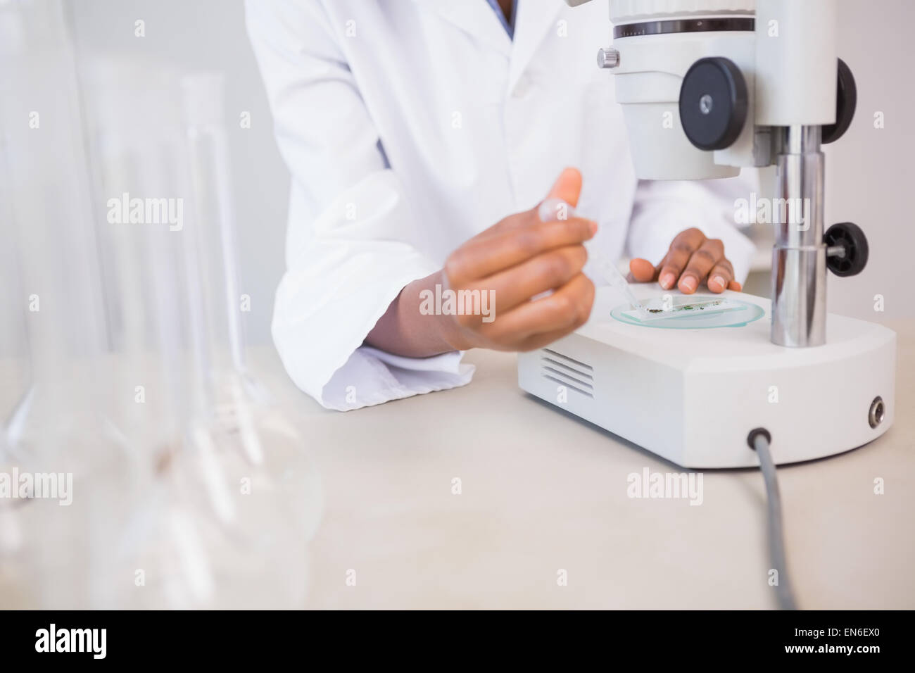 Scientist examining petri dish under microscope Stock Photo - Alamy