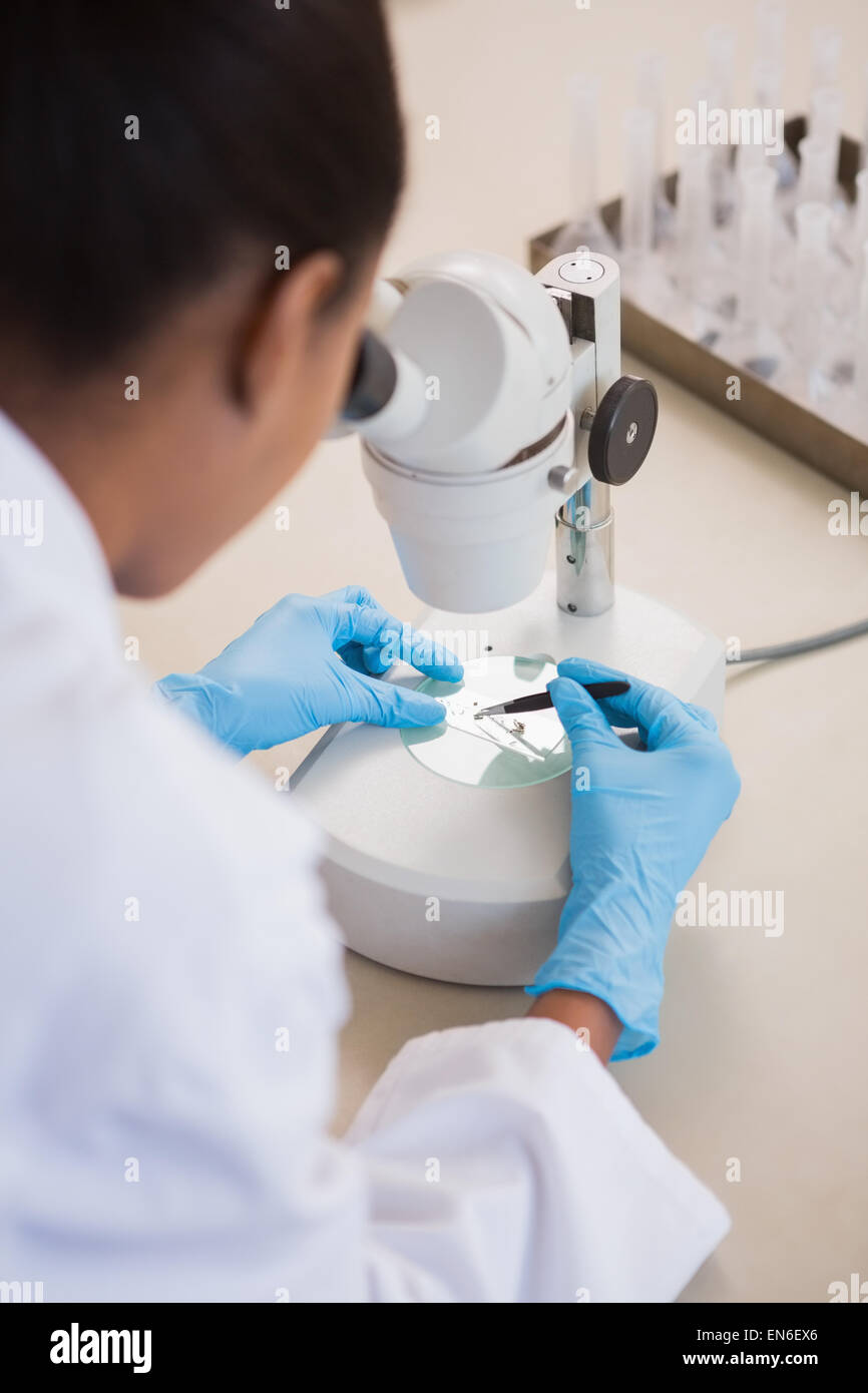 Scientist examining sample under microscope hi-res stock photography and images - Alamy