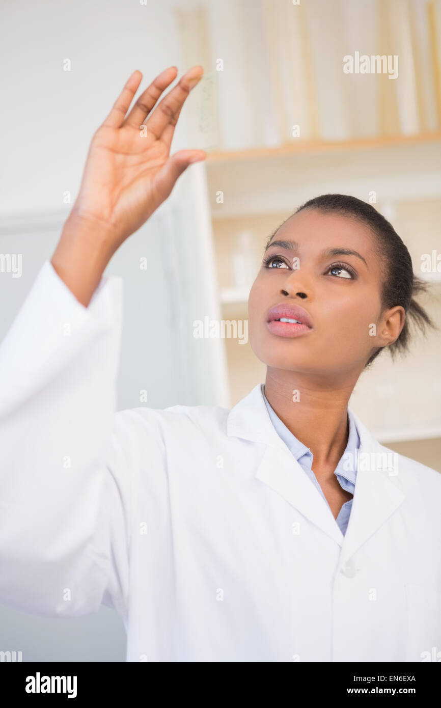 Scientist looking at sample Stock Photo - Alamy