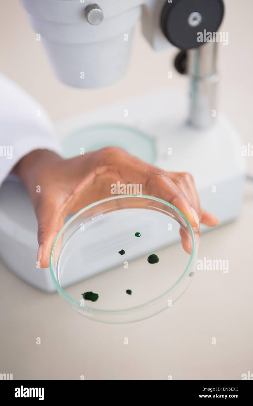Scientist observing hi-res stock photography and images - Alamy
