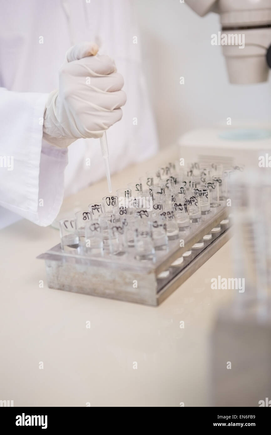 Scientist working with many test tubes and pipette Stock Photo - Alamy