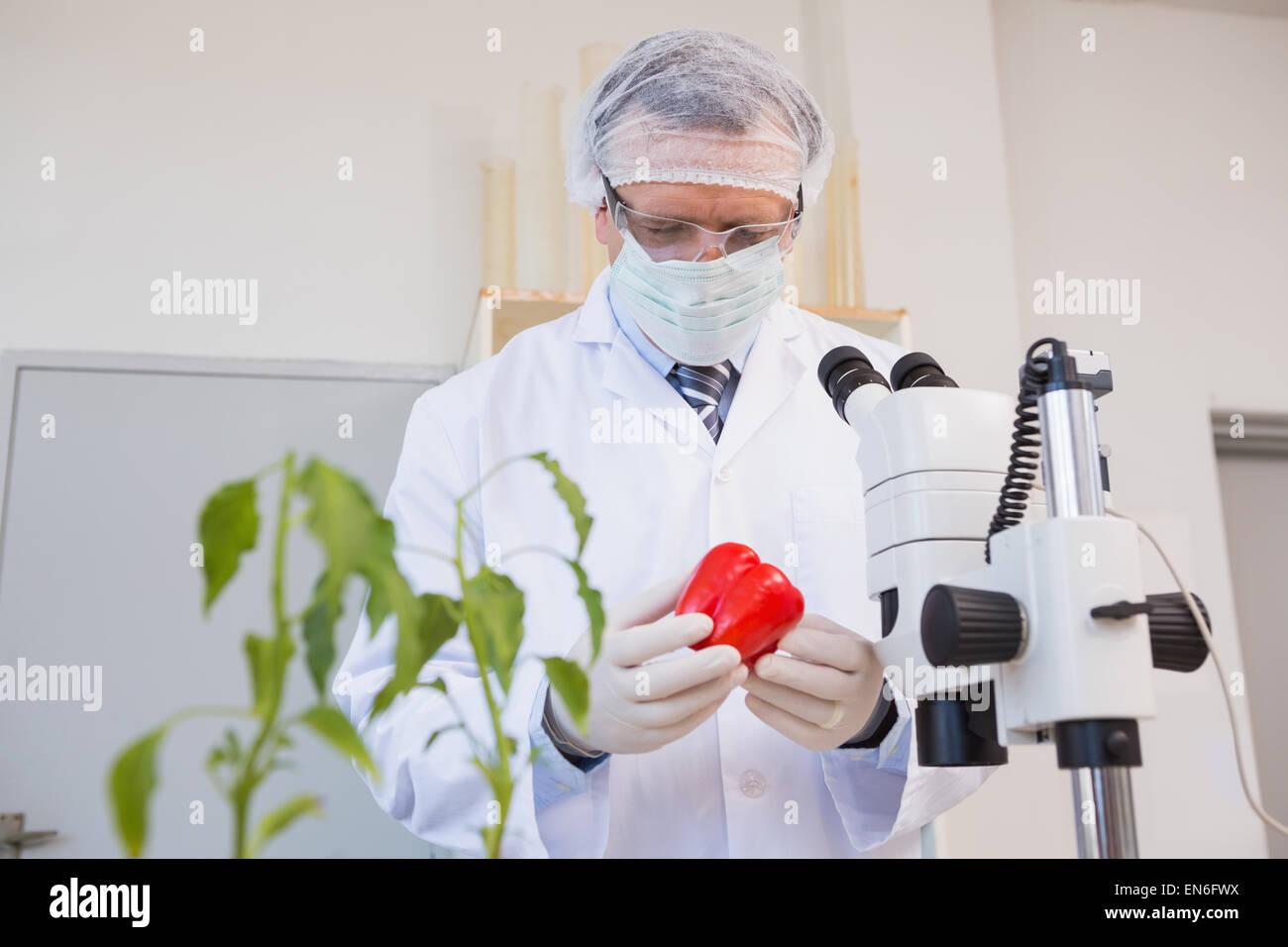 Pepper microscope hi-res stock photography and images - Alamy