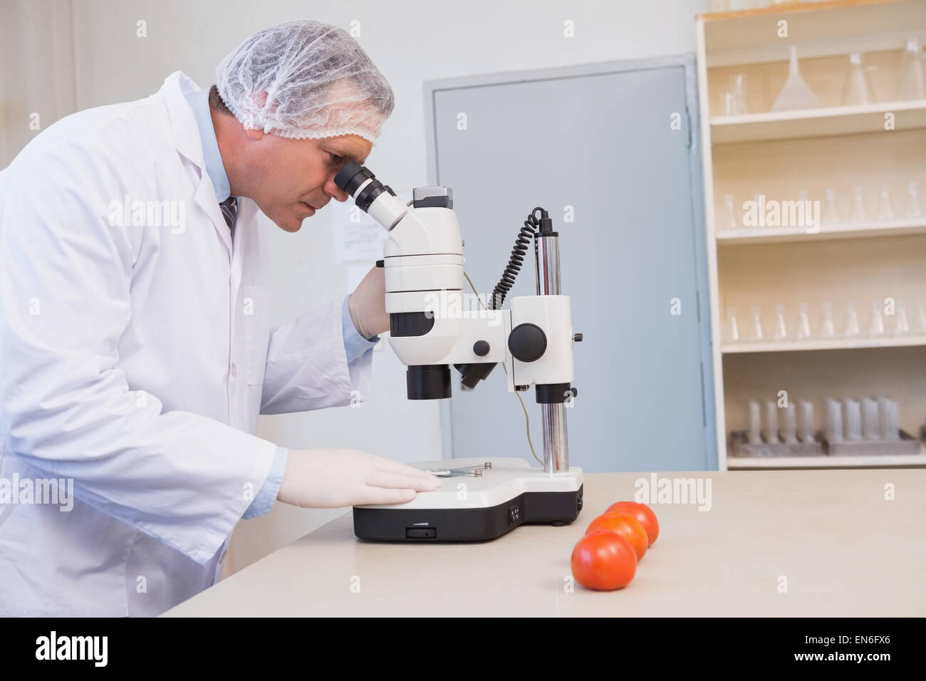 Food scientist looking through a microscope Stock Photo - Alamy