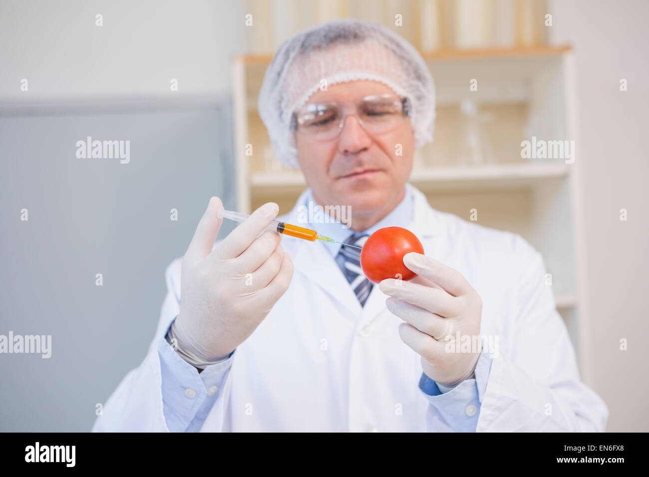 Food scientist working attentively with red tomato Stock Photo - Alamy