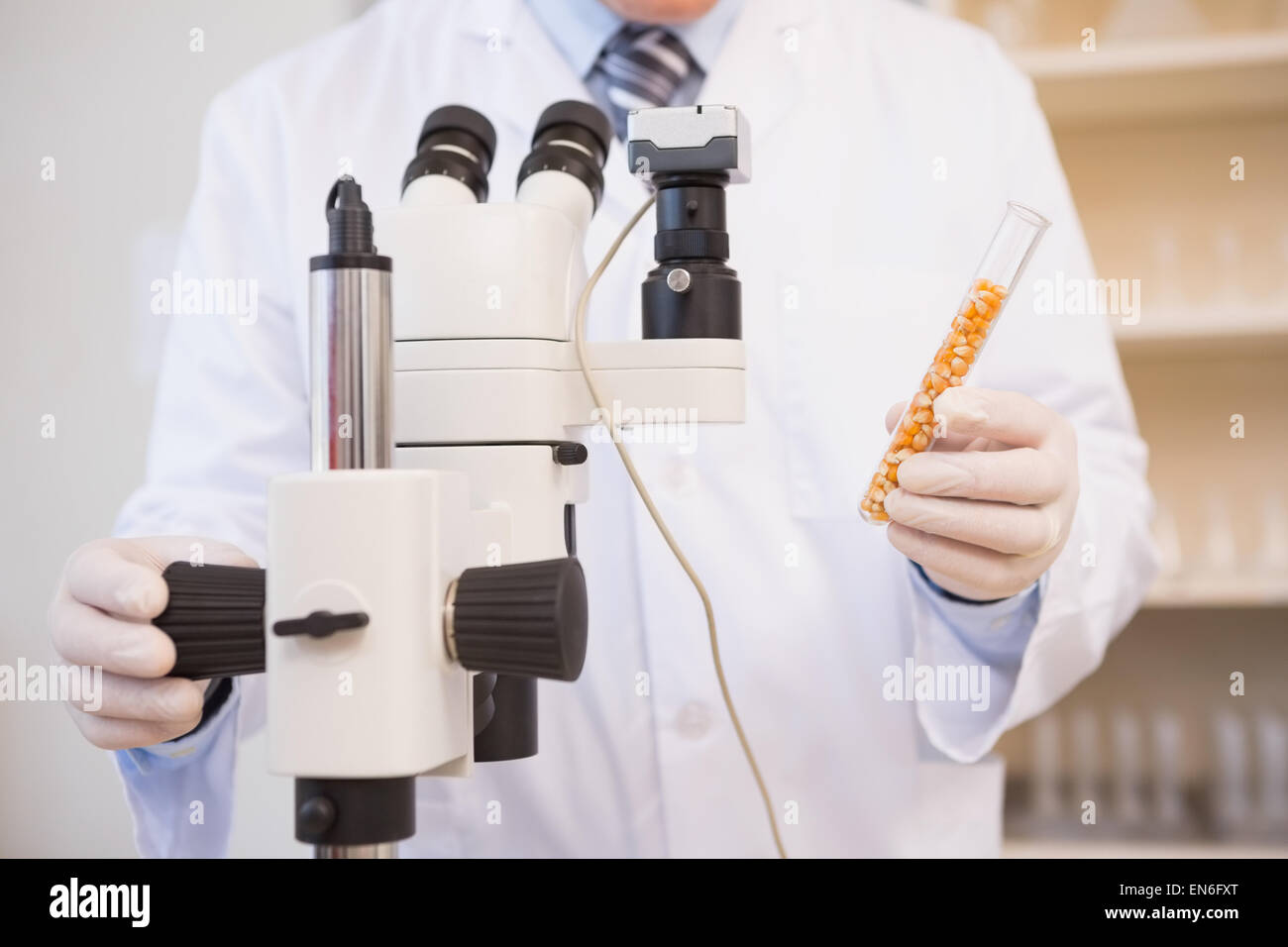 Scientist holding test tube hi-res stock photography and images - Alamy