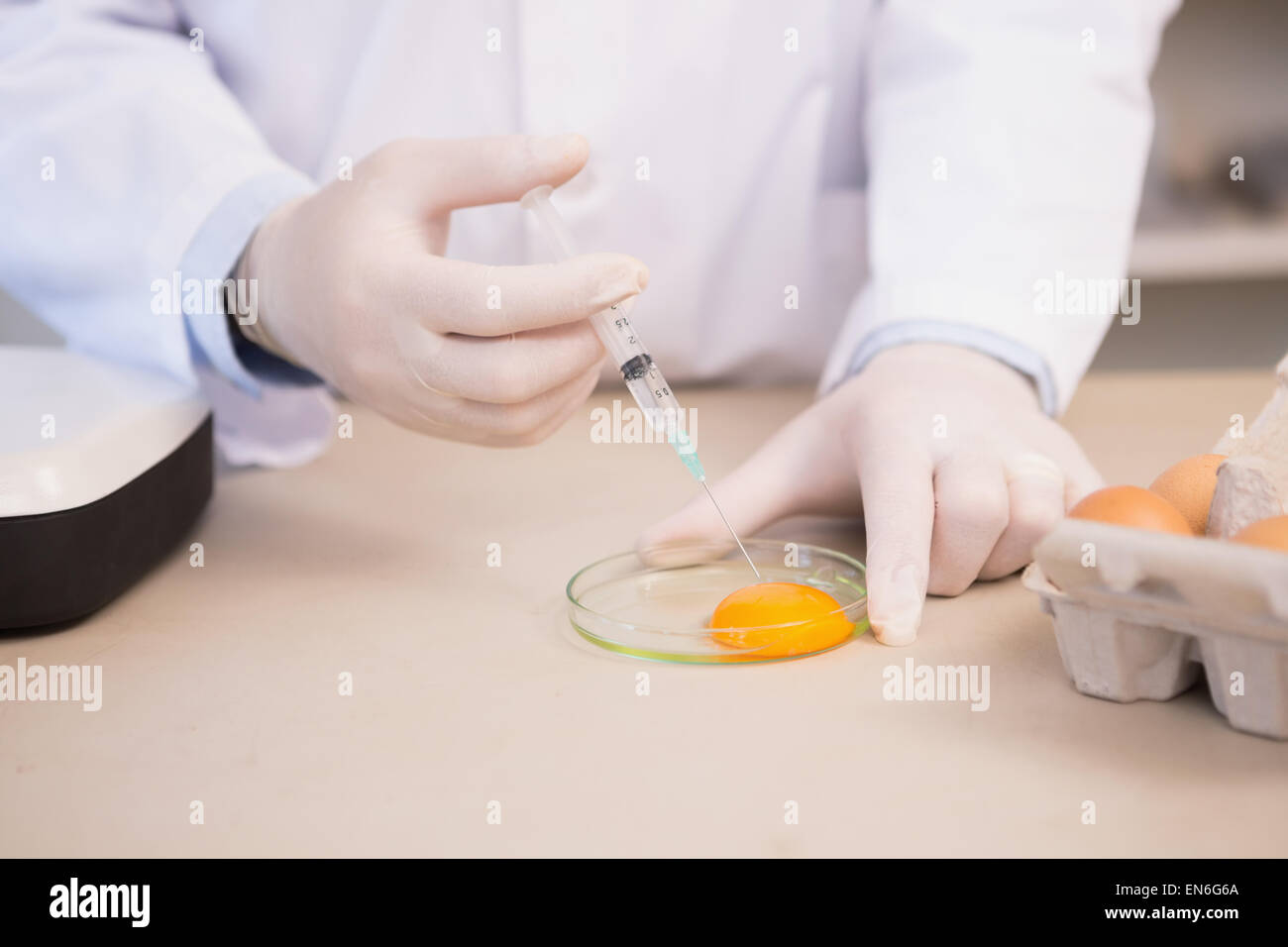 Scientist holding egg hi-res stock photography and images - Alamy
