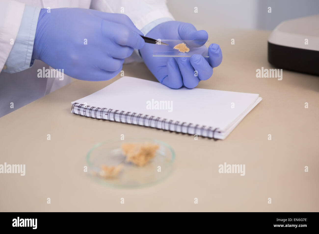Scientist examining pieces of bread Stock Photo - Alamy