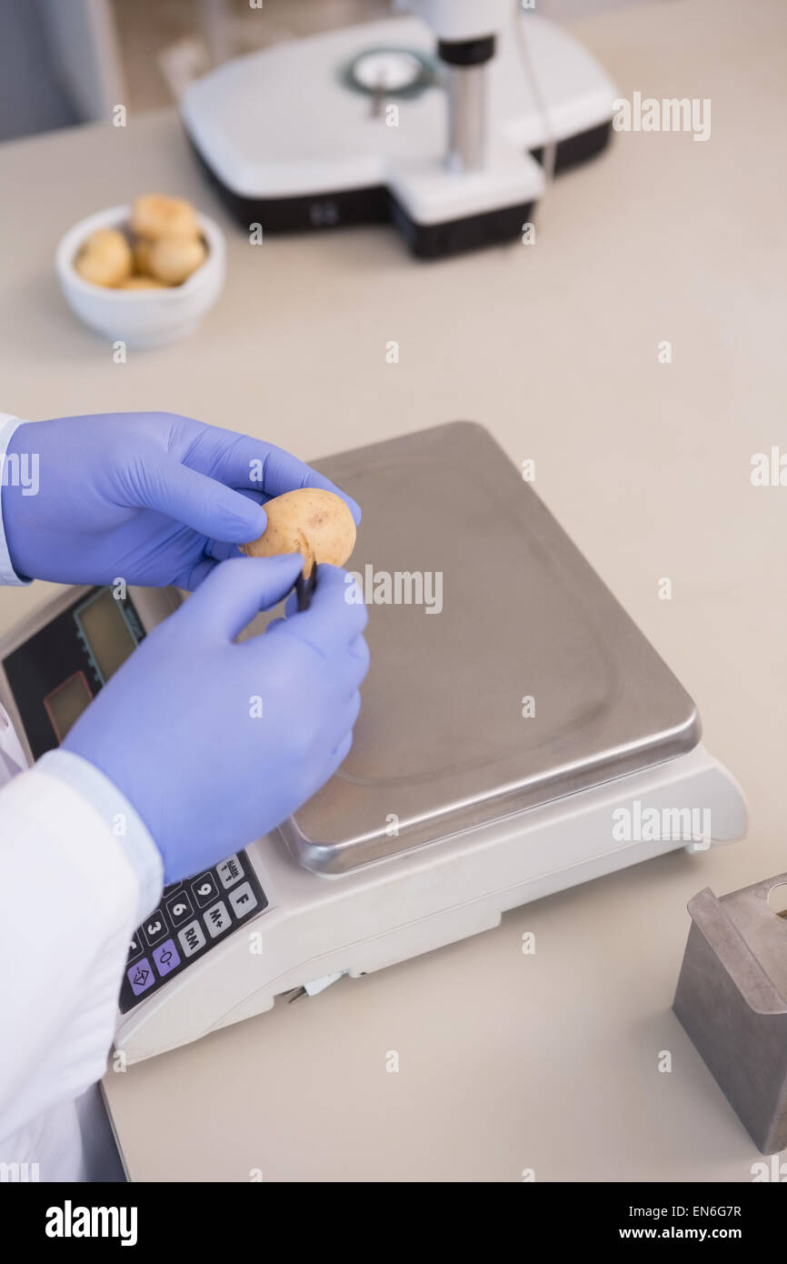 Weighing potatoes hi-res stock photography and images - Alamy