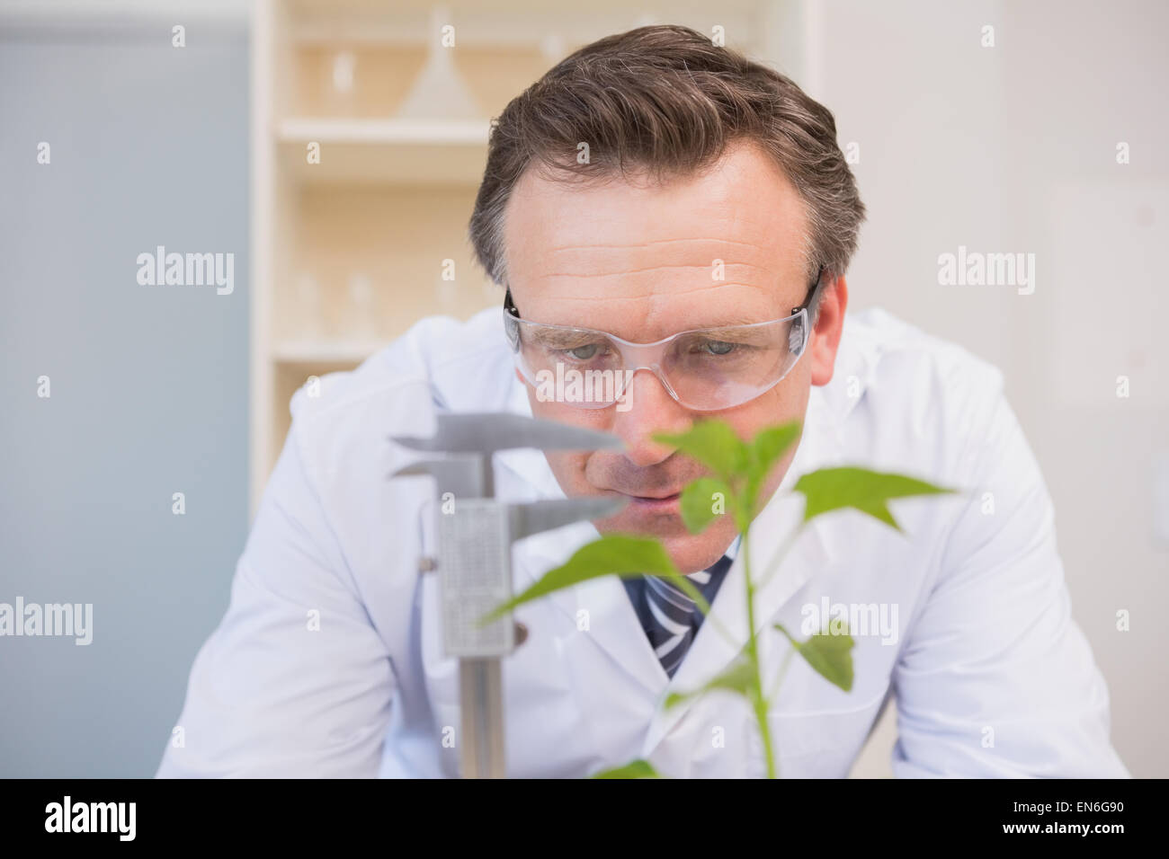 Measuring plant hi-res stock photography and images - Alamy