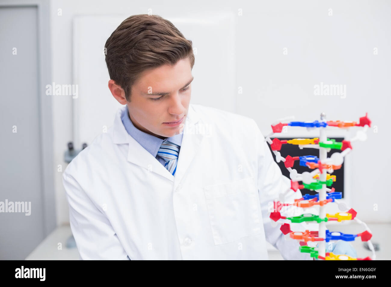 Scientist looking at dna model Stock Photo - Alamy