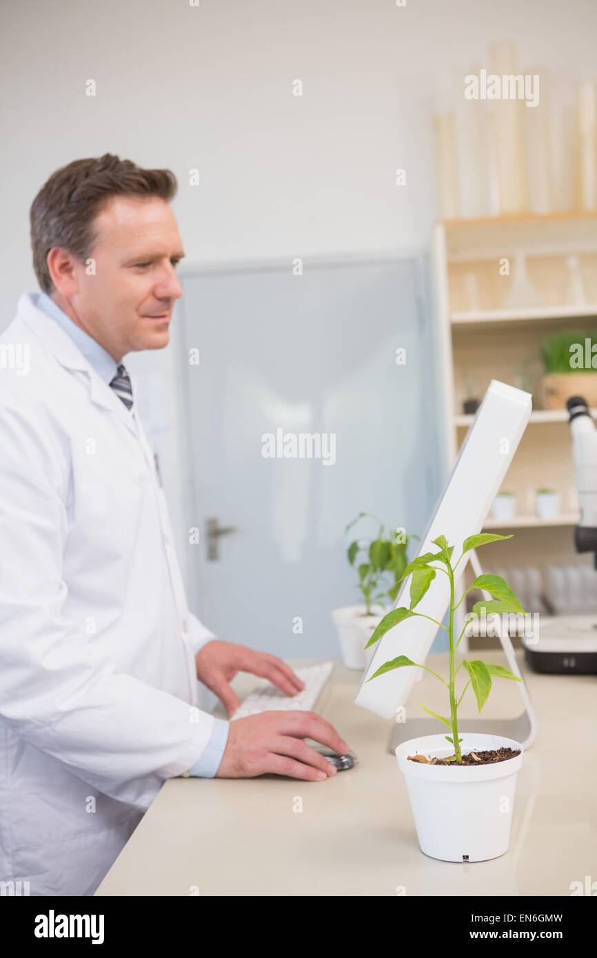 Scientist using computer Stock Photo - Alamy