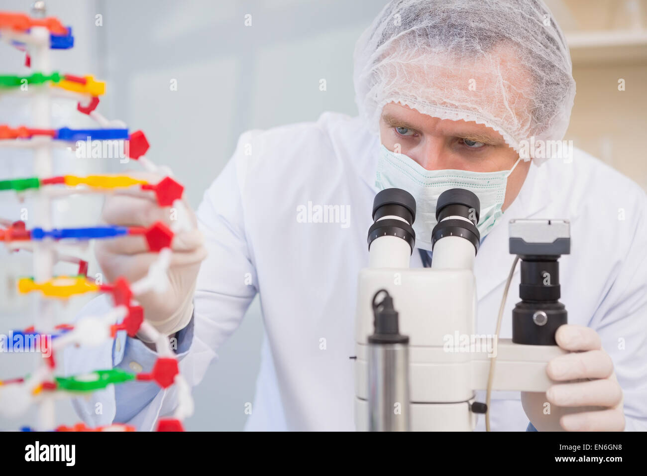 Scientist examining dna helix and looking in microscope Stock Photo - Alamy