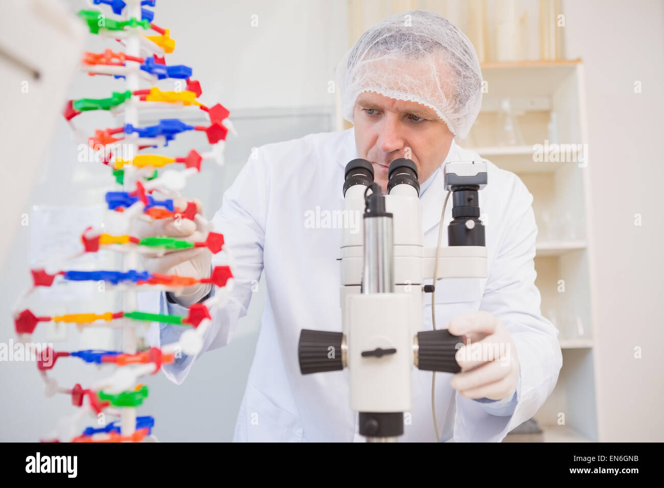 Scientist examining dna helix and looking in microscope Stock Photo - Alamy