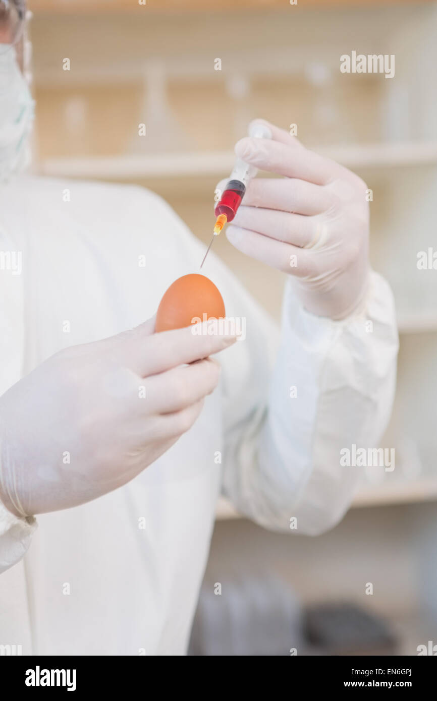 Scientist injecting egg Stock Photo - Alamy