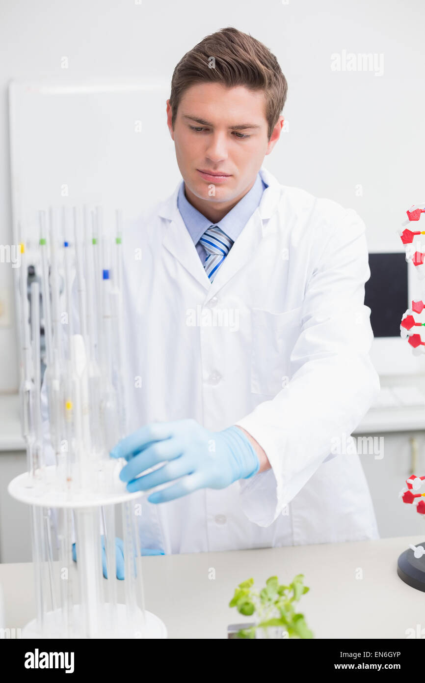 Scientist examining pipette Stock Photo - Alamy