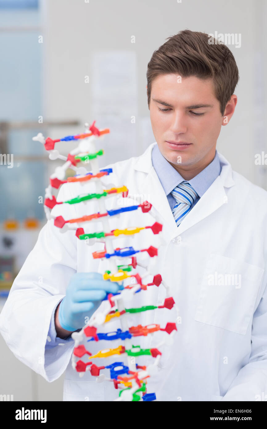 Dna model hi-res stock photography and images - Alamy
