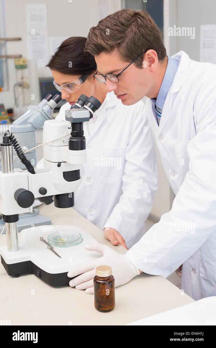 Scientists looking attentively in microscopes Stock Photo - Alamy
