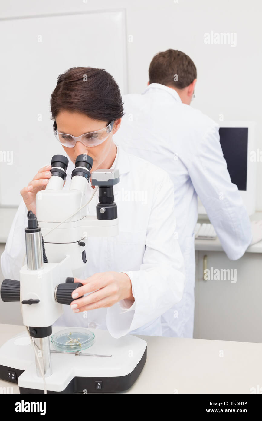 Scientists working with microscope and computer Stock Photo - Alamy