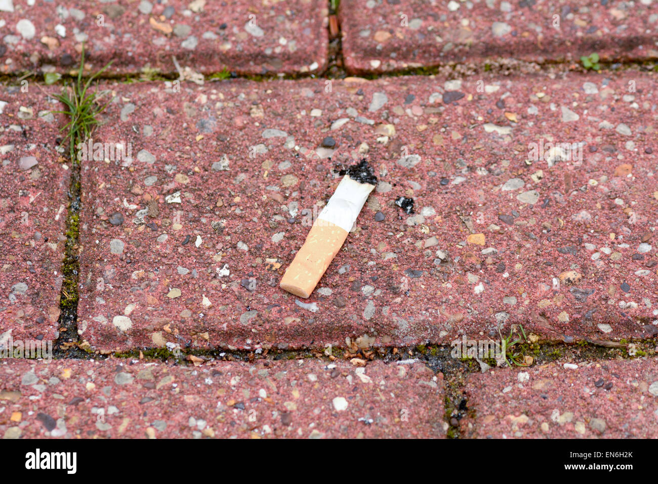 Stubbed out cigarette butt on ground Stock Photo - Alamy