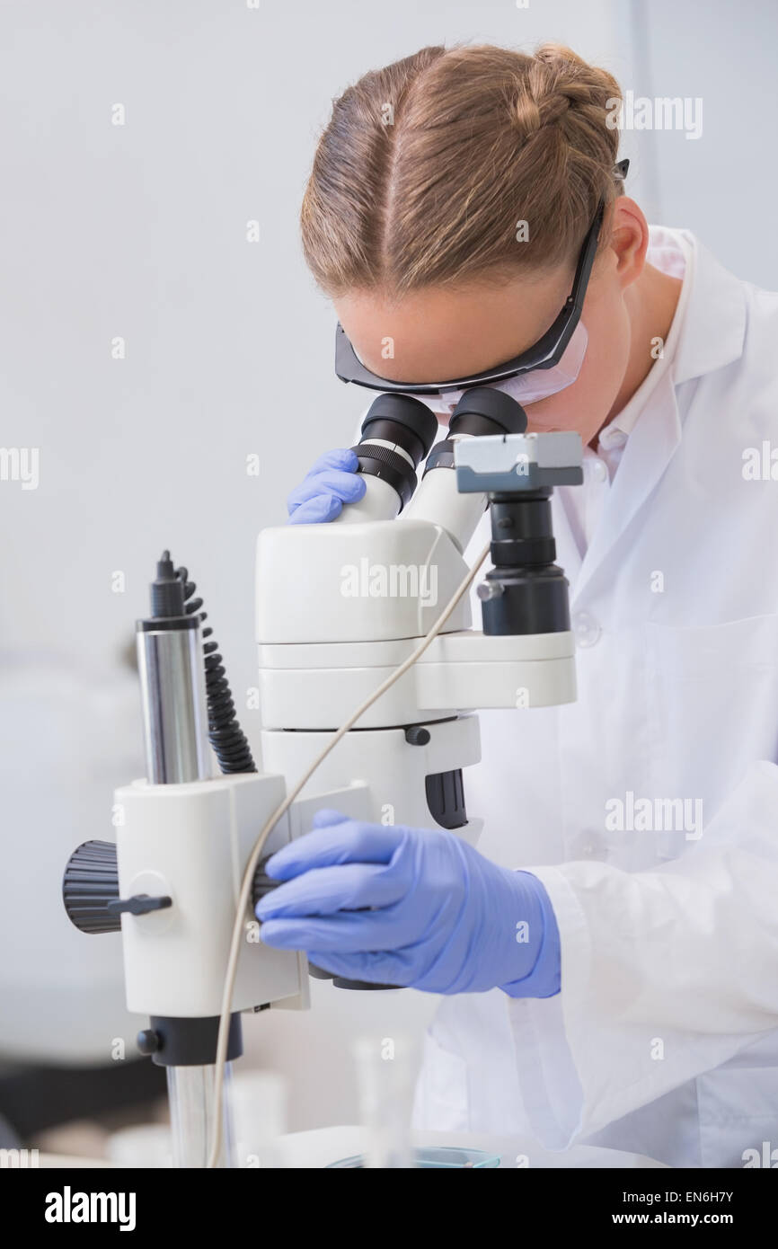 Scientist examining something with the microscope Stock Photo - Alamy