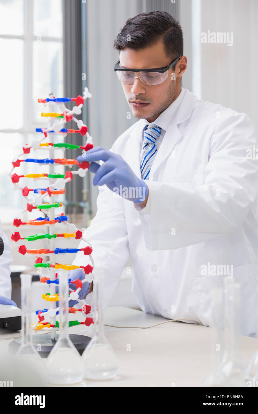 Scientist analysing dna helix Stock Photo - Alamy
