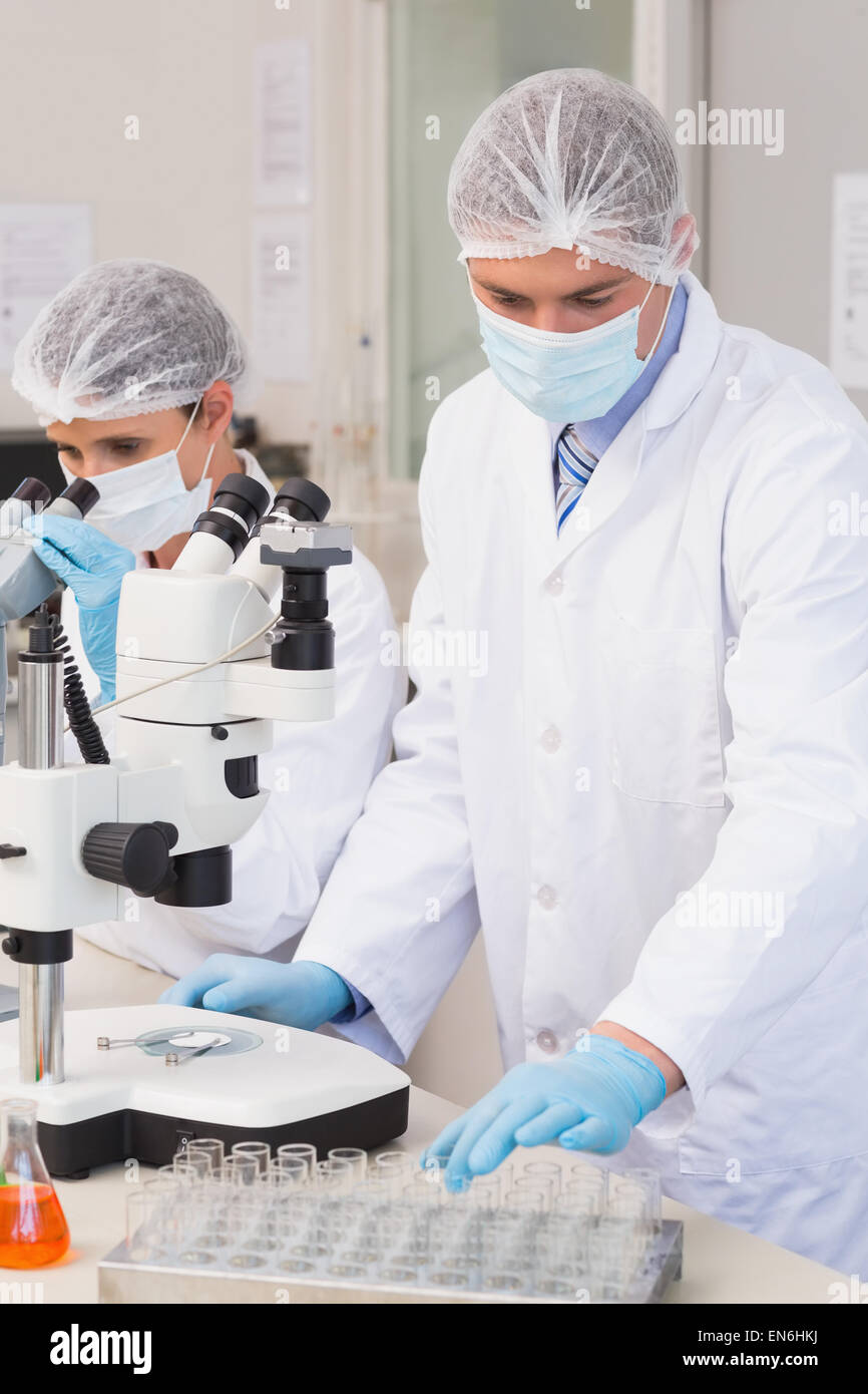 Scientists working attentively with microscopes Stock Photo - Alamy
