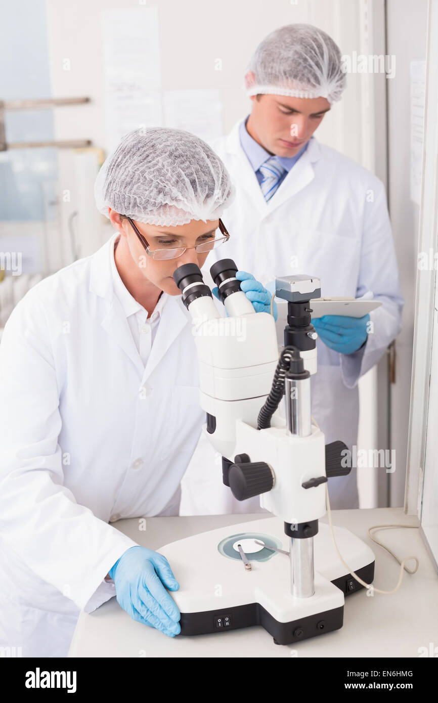 Scientists working attentively with microscope Stock Photo - Alamy Scientists working attentively with microscope Stock Photo - Alamy