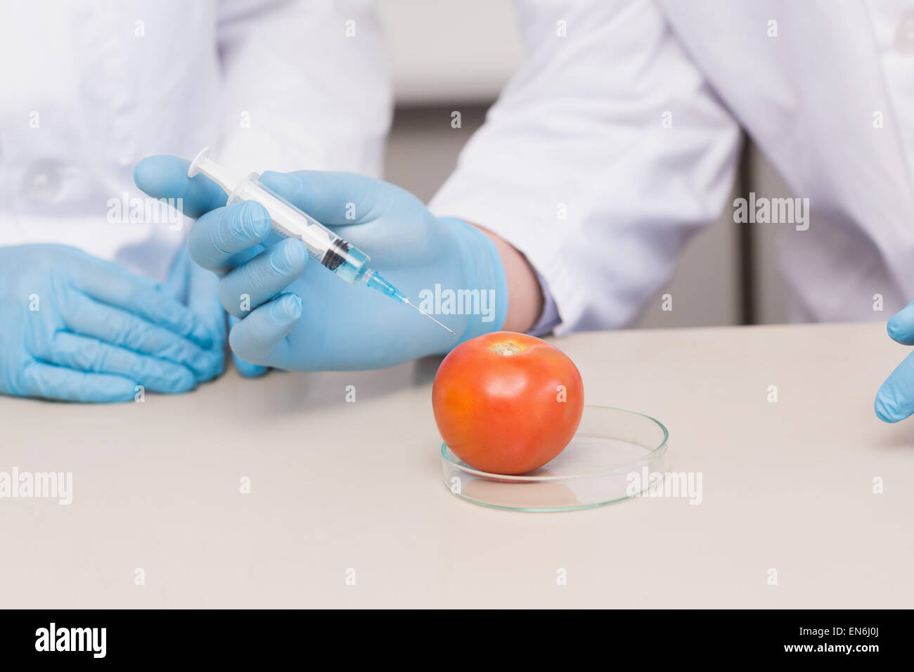 Scientists injecting tomato hi-res stock photography and images - Alamy
