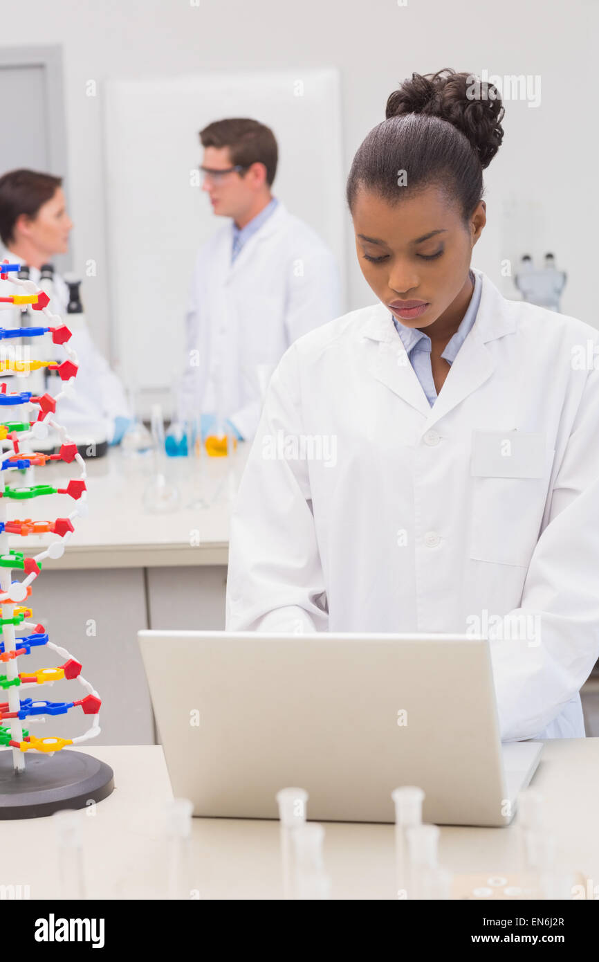 Scientist using laptop while colleagues talking together Stock Photo ...