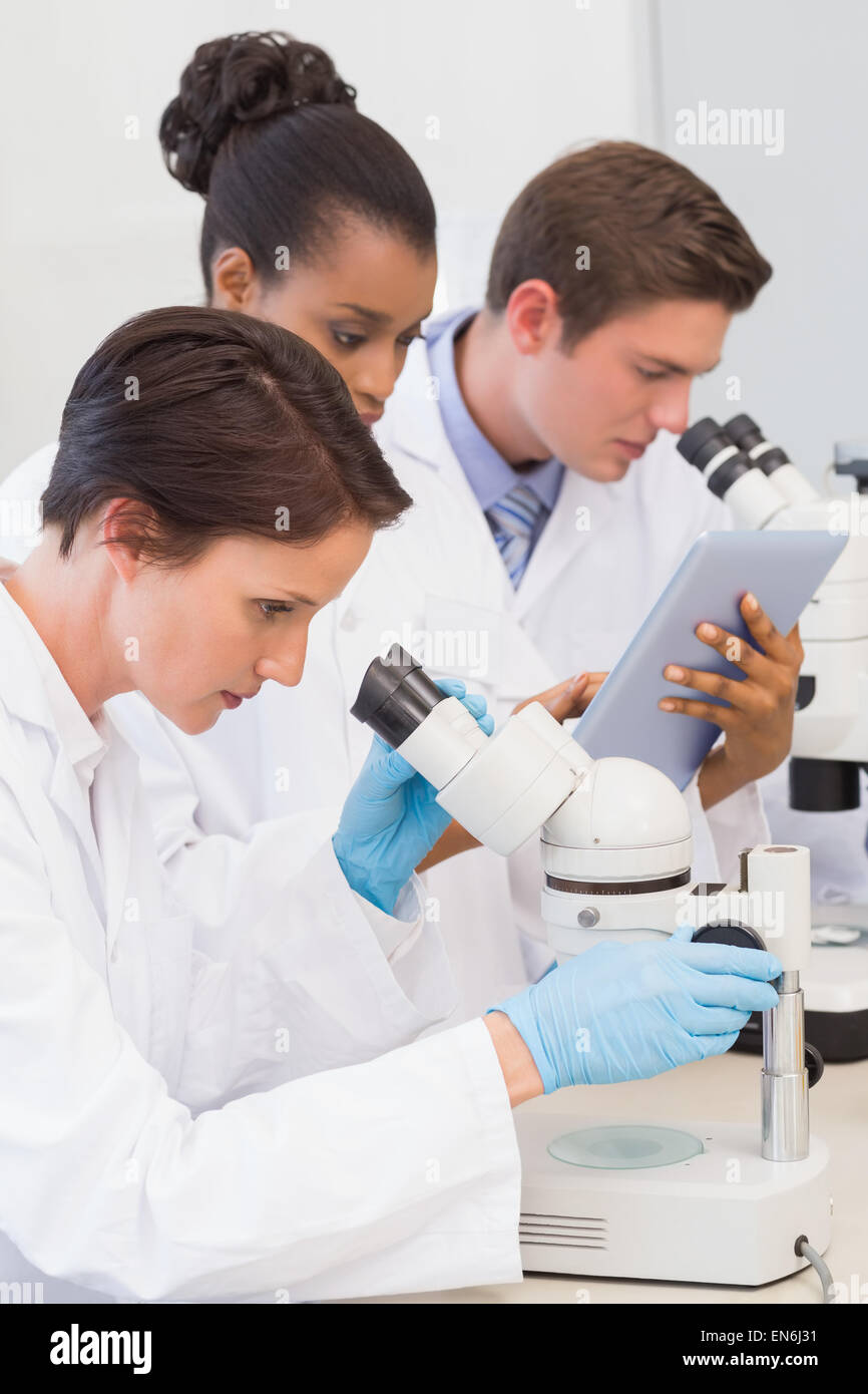 Scientists using microscope and tablet pc Stock Photo - Alamy