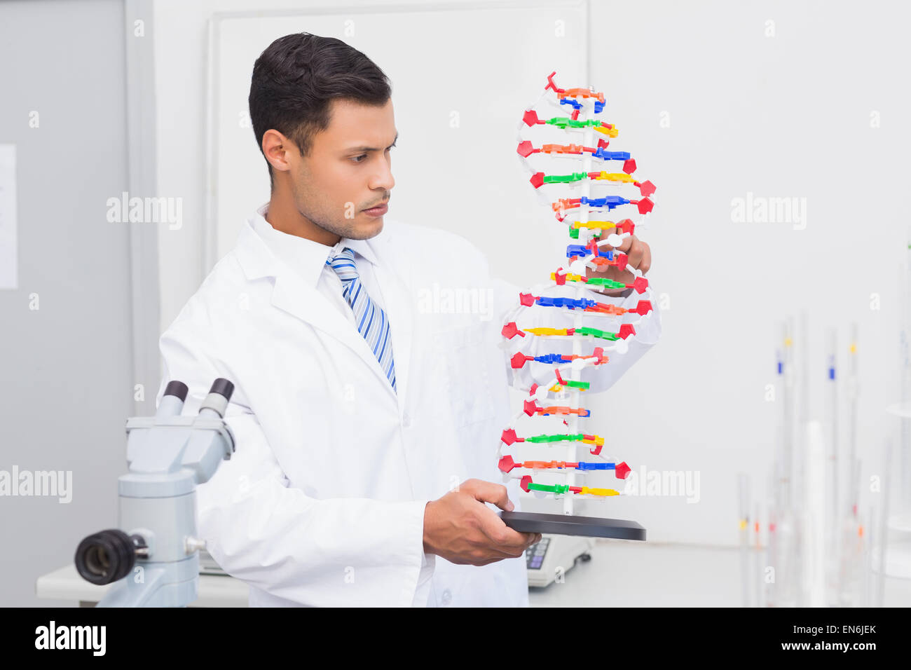 Focus scientist looking at DNA helix Stock Photo - Alamy